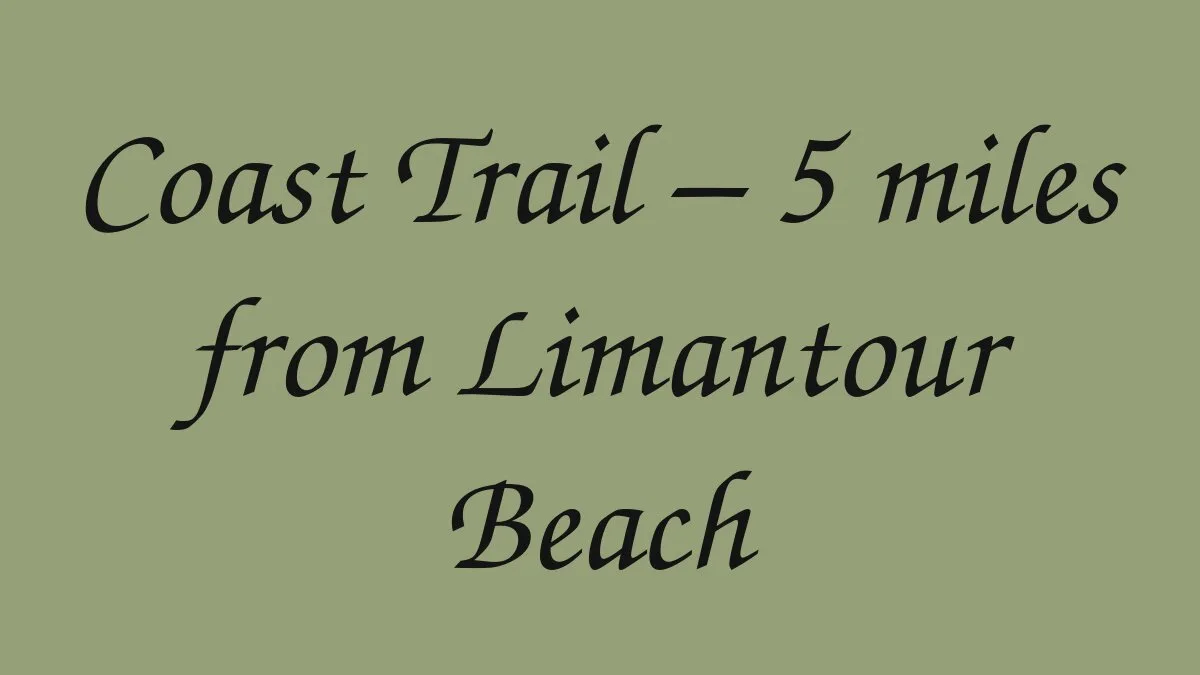 Coast Trail – 5 miles from Limantour Beach - LimantourBeach.com