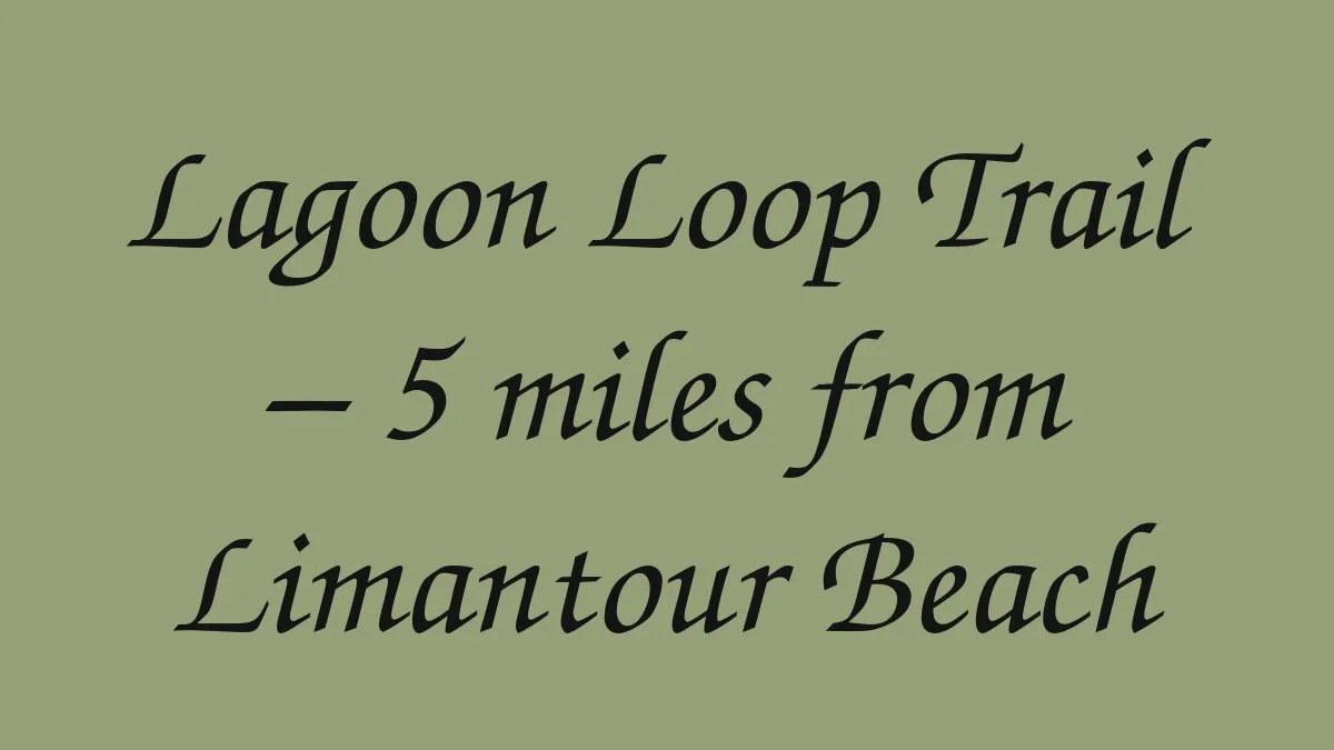 Lagoon Loop Trail – 5 miles from Limantour Beach - LimantourBeach.com